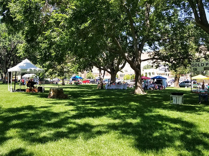 Veterans Park offers shade, serenity, and space to contemplate life's big questions or today's lunch options.
