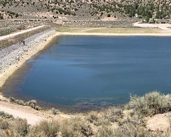 The view from the group site proves that Nevada doesn't need neon to dazzle. This natural light show outperforms any casino marquee.
