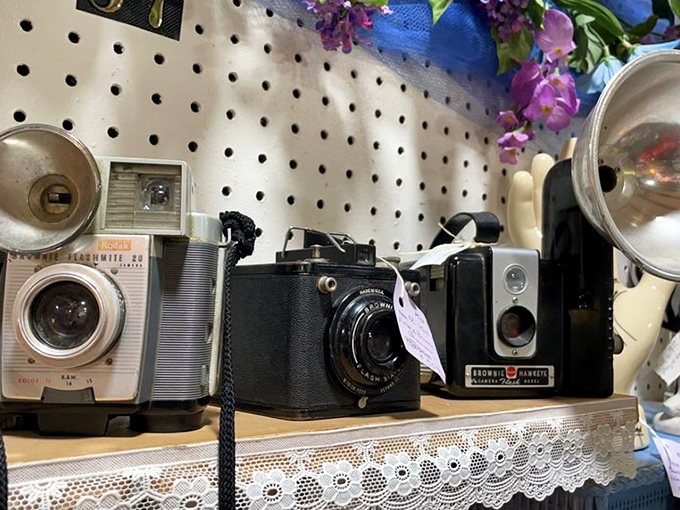 Vintage cameras that once captured family vacations now wait for their second act as d&eacute;cor or conversation pieces.