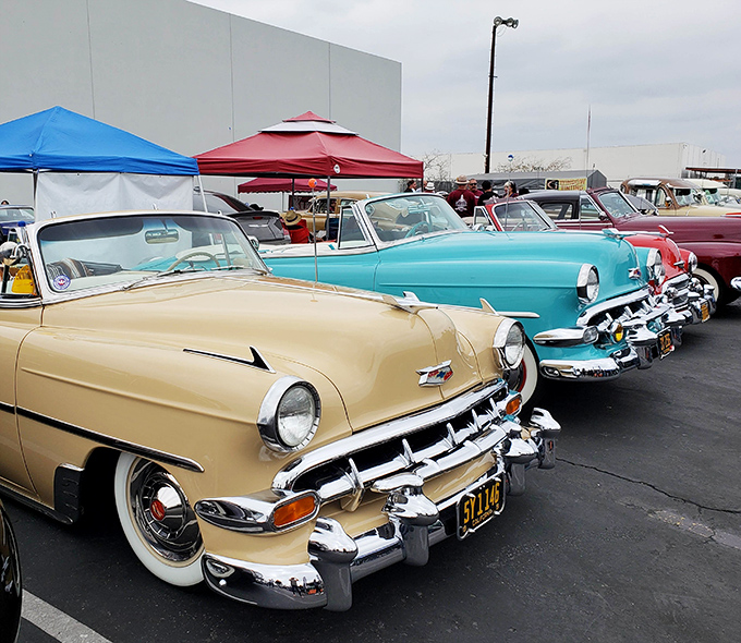 Detroit's finest chrome beauties line up like celebrities on a vintage red carpet. These classic cars aren't just vehicles; they're time machines.