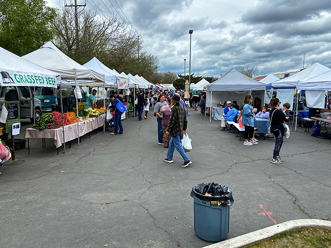 The Visalia Farmers' Market buzzes with activity as locals hunt for the perfect tomato while catching up on neighborhood news.