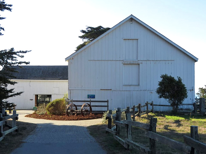 The historic dairy barn now serves as the park's visitor center, where your coastal adventure begins with maps, exhibits, and friendly advice.