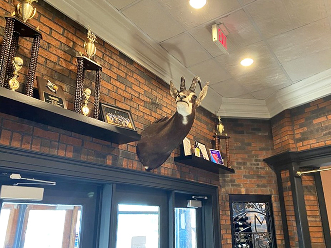 Trophy mounts and brick walls create that classic "lodge meets upscale tavern" atmosphere that makes you want to settle in and stay awhile.