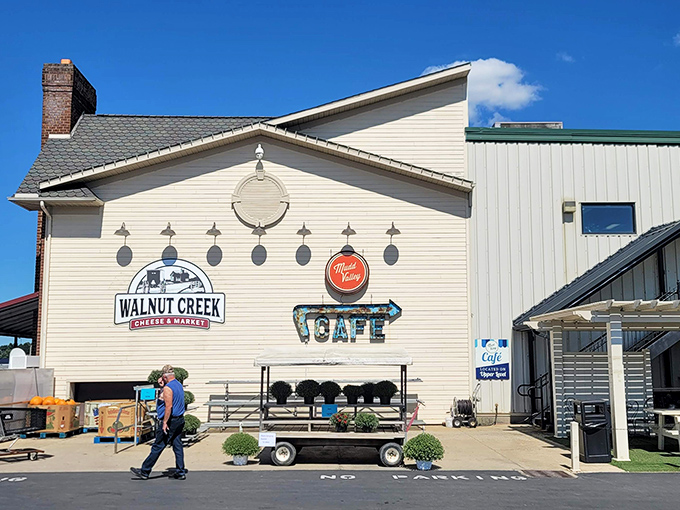 Walnut Creek Cheese & Market offers far more than its name suggests. It's a gastronomic treasure chest disguised as a humble country store.