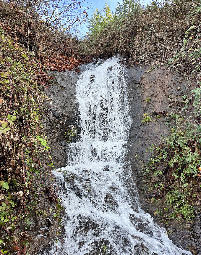 Hidden waterfalls reward explorers in Paradise's surrounding wilderness. Nature's version of a spa day is just a short hike away from town.
