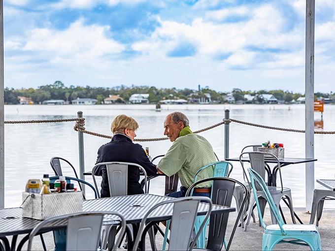 Waterfront dining in Crystal River: where the conversation pauses naturally whenever dolphins decide to make a cameo appearance during lunch.