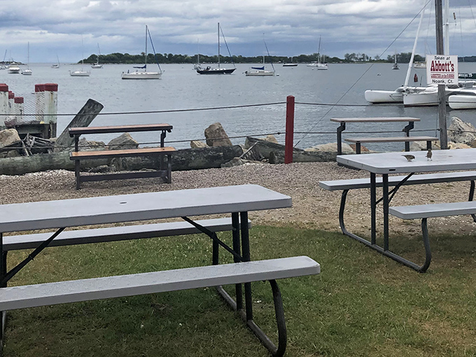 Waterfront dining with a side of sailboat-watching. Those picnic tables offer front-row seats to coastal Connecticut's natural beauty.