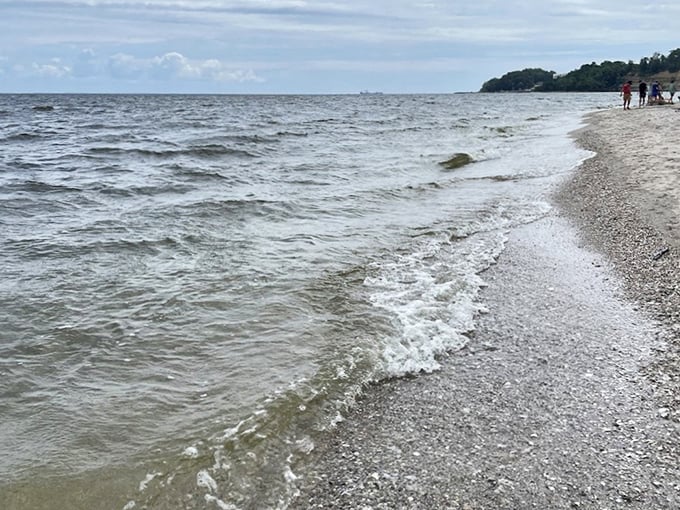 The gentle rhythm of Chesapeake waves writes messages in the sand, erasing footprints but leaving memories intact.