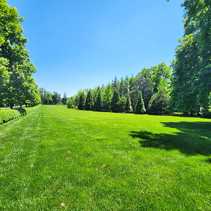 A lawn so perfect it makes golf courses jealous. Somewhere, a groundskeeper is smiling with justified pride.