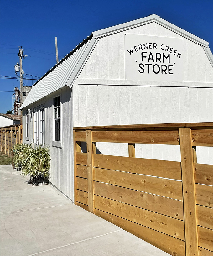 Werner Creek Farm Store brings "farm-to-table" back to its roots. When the produce doesn't need a passport to reach your kitchen, you know it's fresh. 