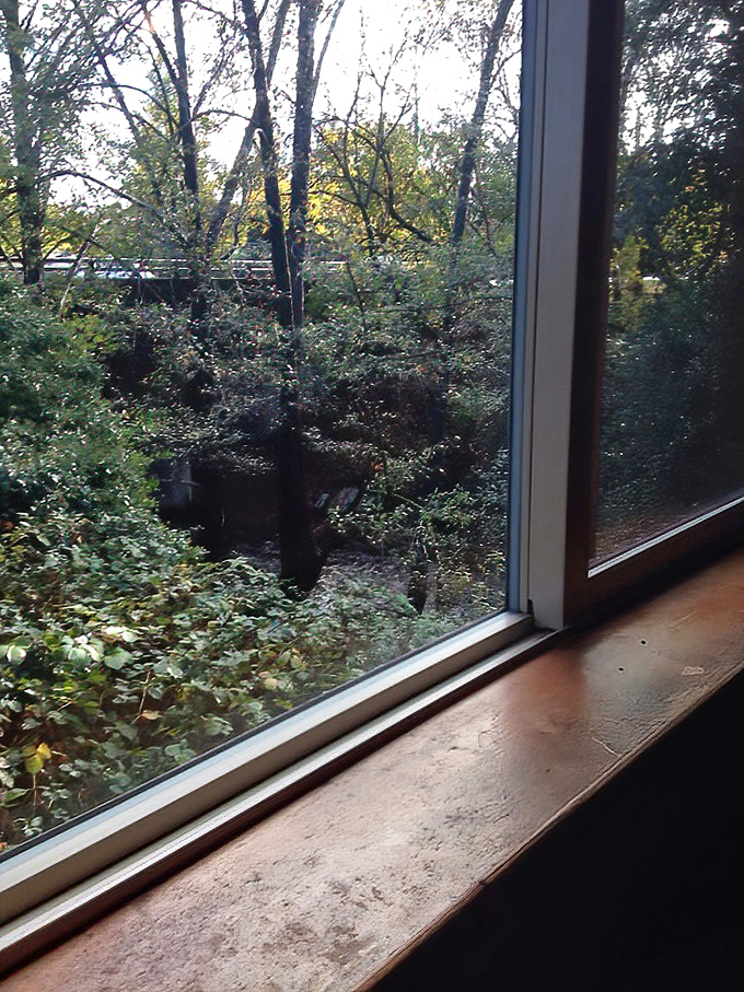 The creek view offers a serene backdrop to your meal. Nature's version of ambient entertainment while you contemplate ordering that second cup of coffee.