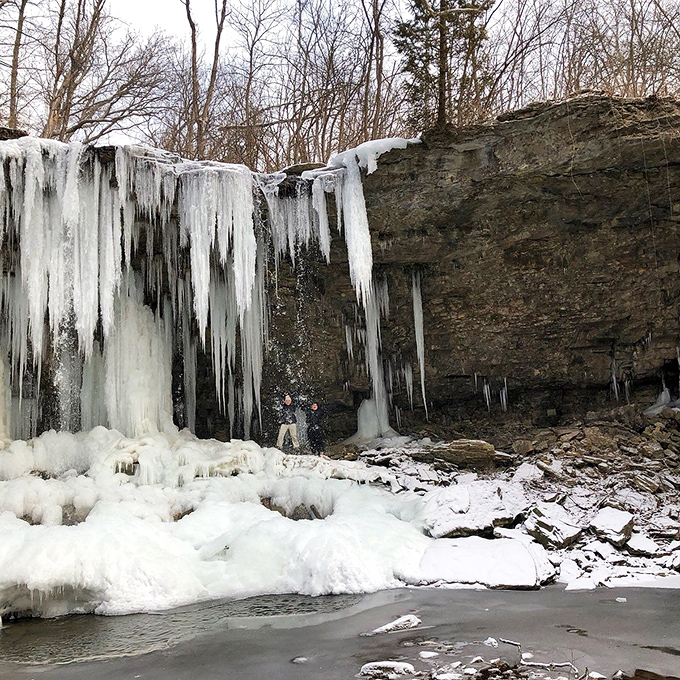 Winter transforms Charleston Falls into a frozen cathedral of ice, proving that Mother Nature is still the world's most impressive installation artist.
