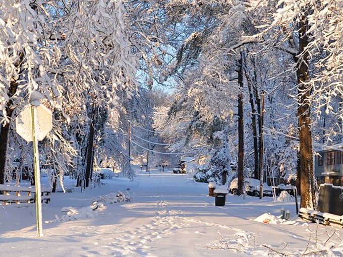 Winter in Newport transforms ordinary streets into postcard scenes, proving that seasonal beauty doesn't check your credit score first.