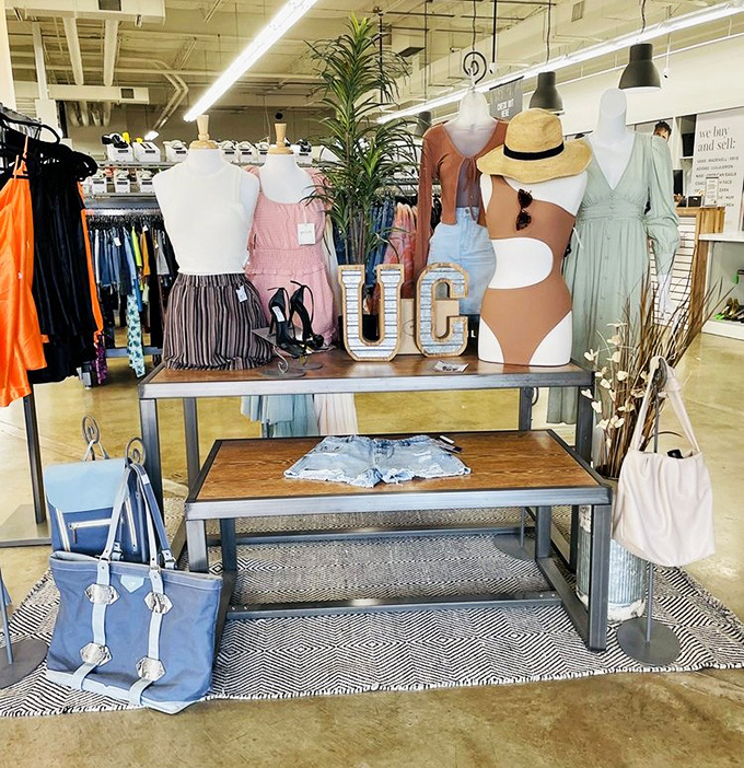 A summer-ready display that whispers "vacation vibes" while your budget sighs with relief.