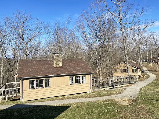 These cabins don't just offer shelter—they provide front-row seats to nature's greatest show, with new performances daily.