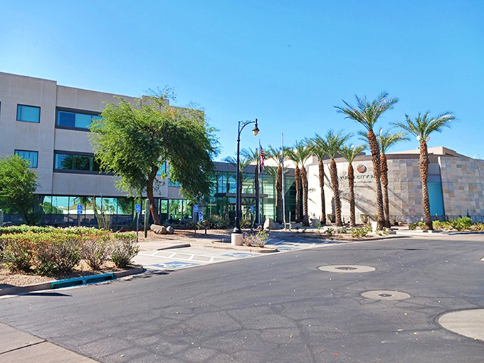 Yuma's modern City Hall blends contemporary design with desert-appropriate landscaping. Even municipal buildings look better with palm trees.