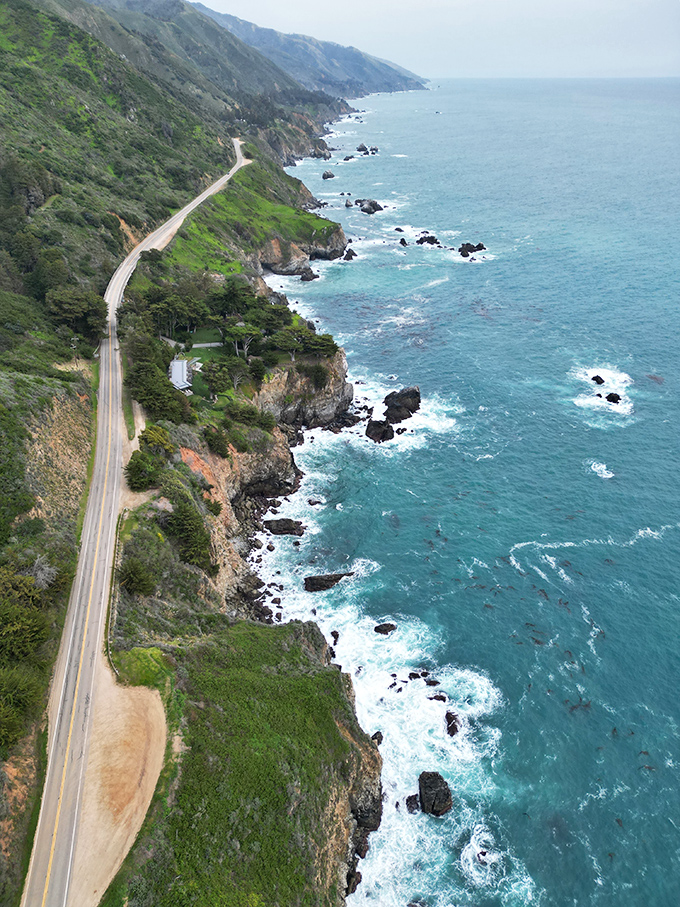 Highway 1 clings to the coastline like a love-struck teenager, refusing to let go even when the relationship gets rocky.