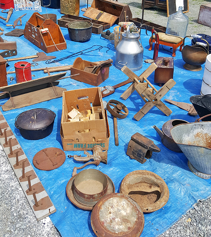 A blue tarp becomes a museum of rural Americana, where cast iron pans and vintage tools tell stories of kitchens and workshops past.