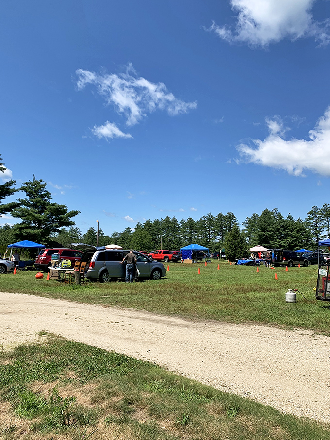 The expansive field transforms into a marketplace where one person's attic cleanout becomes another's weekend shopping destination.