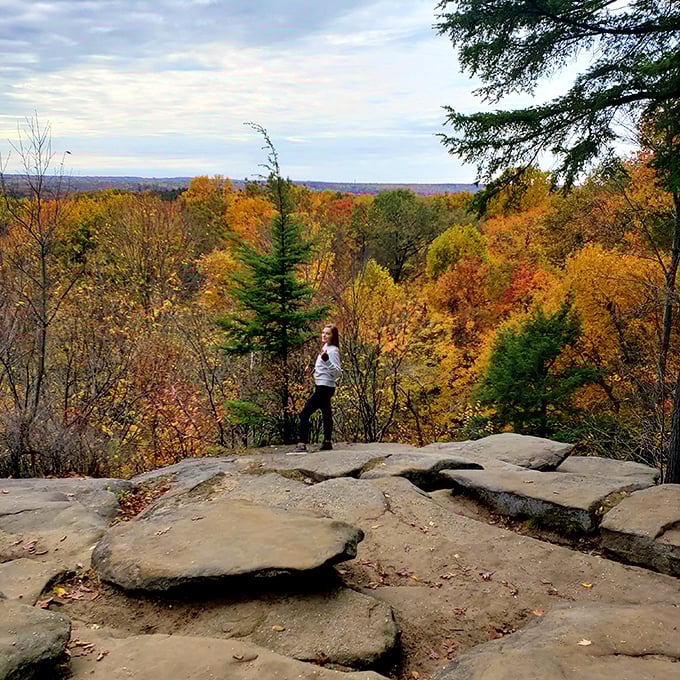Standing at the edge of autumn's canvas, where every tree competes to be the most photogenic.