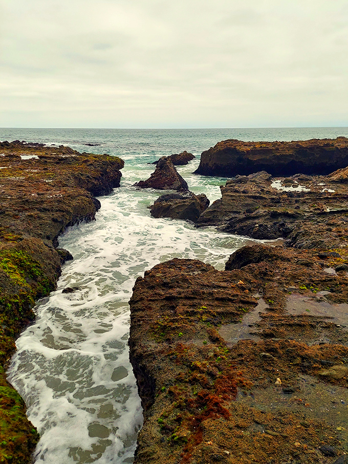 The channels carved by centuries of persistent waves remind us that nature is the ultimate sculptor of coastlines.