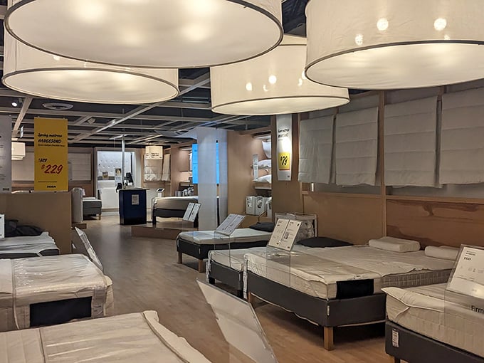 Mattress showroom: the only place where it's socially acceptable to lie down in public while contemplating major life decisions and lumbar support.