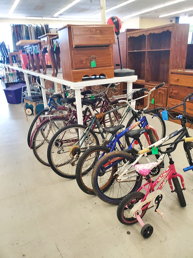 From first training wheels to adult adventures, these pre-loved bikes promise new journeys without the sticker shock of specialty shops.