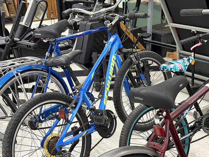 Bicycle bonanza! These two-wheeled treasures await new adventures on Colorado's trails&mdash;previous pedaling experience not included.