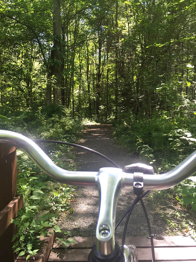 Biking these wooded paths means nature therapy and cardio rolled into one surprisingly pleasant package for once.