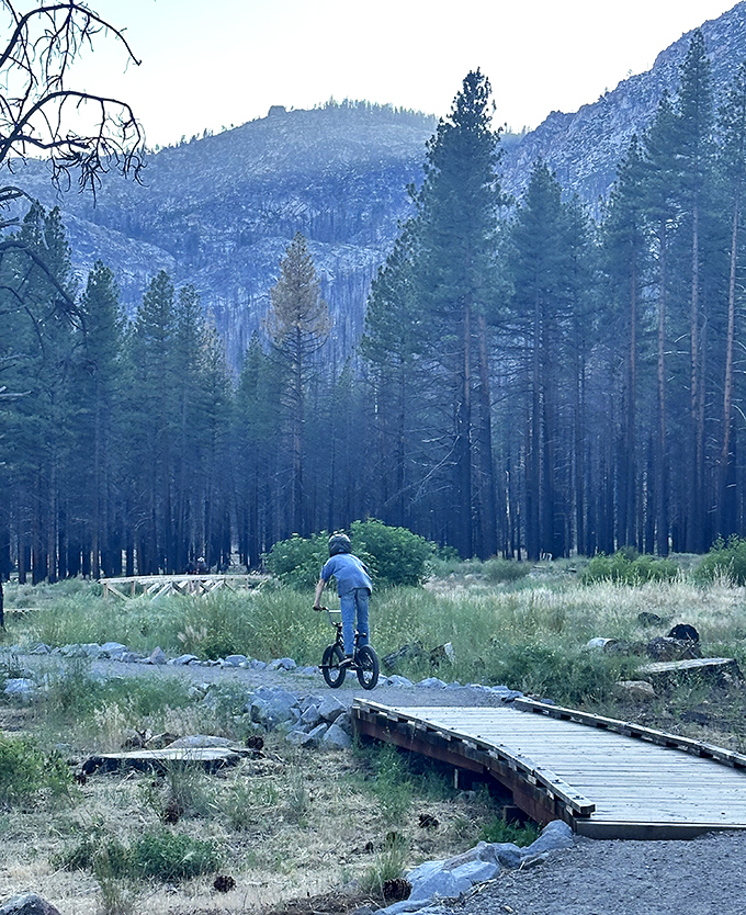 Twilight adventures on two wheels. Even the mountains seem to pause and watch as explorers navigate wooden pathways through alpine meadows.