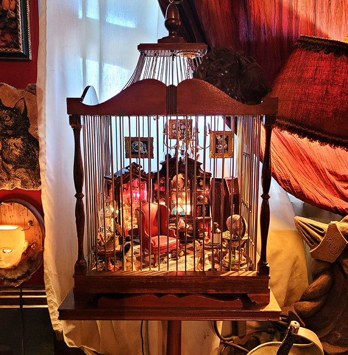 This isn't your ordinary birdcage - peering inside reveals a miniature world of curiosities trapped behind decorative bars.