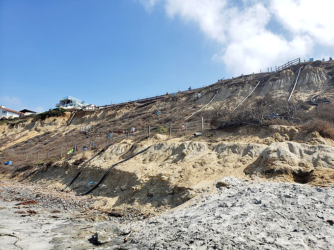 Those sandstone cliffs tell stories millions of years old, actively writing new chapters with each passing season and storm.