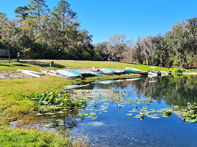 Canoes rest by the lily-padded shoreline, patiently waiting for their chance to glide across nature's mirror.
