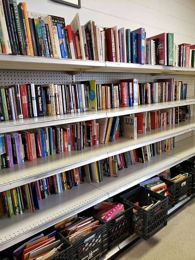 The book section: where literary treasures hide between forgotten diet books and yesterday's bestsellers—a paper playground for the perpetually curious.