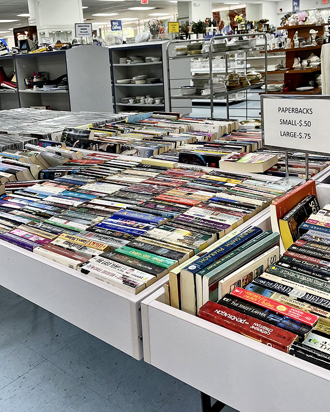 The book section rivals small-town libraries, with paperbacks at prices that make e-readers question their existence.