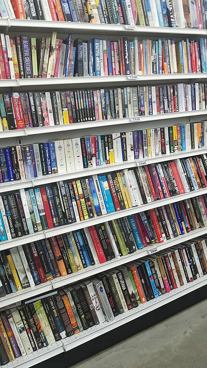 The book section rivals small libraries, offering literary journeys for less than the price of a fancy coffee.