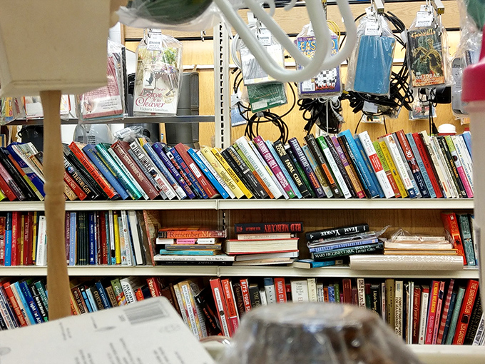 Books stacked on shelves promise adventures, knowledge, and that one cookbook with the questionable Jell-O recipes from 1973.