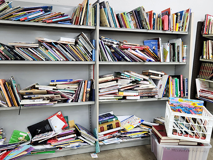 The book section &ndash; where dog-eared paperbacks and forgotten bestsellers create a literary treasure hunt for the patient browser.