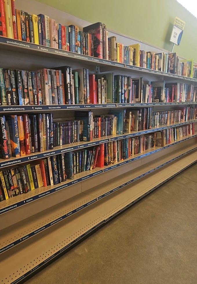 Bibliophiles, take note! These well-stocked shelves offer literary adventures at pocket-change prices, from bestsellers to forgotten classics.
