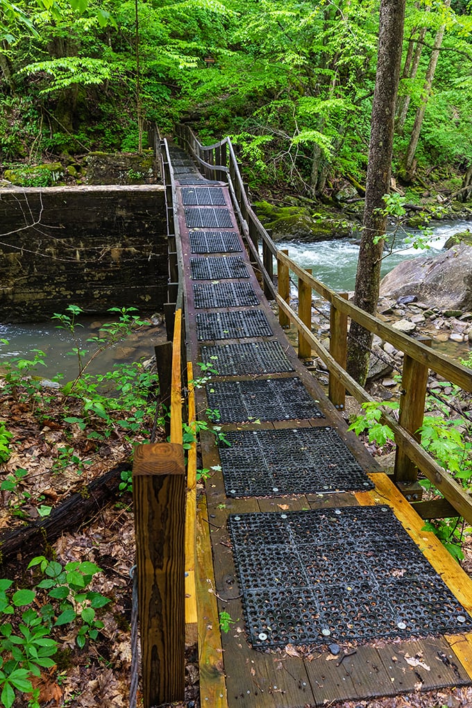 Not all who wander are lost, but crossing this bridge certainly helps when you are. Adventure awaits on the other side.