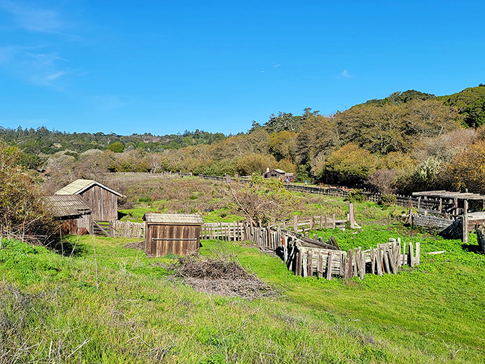 Rustic outbuildings and weathered fences tell stories of ranch life past, when "working from home" meant something entirely different.
