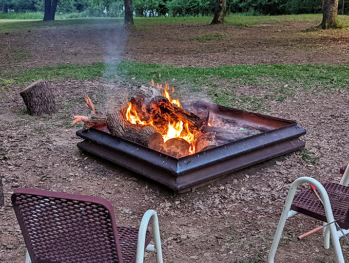 Campfire perfection achieved: flames crackling, marshmallows waiting, and absolutely zero emails demanding your immediate attention right now.