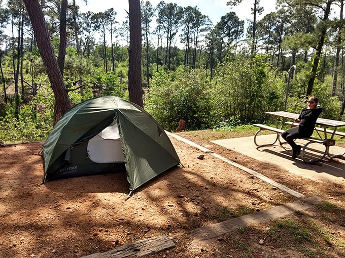 Camping spots that make hotel rooms seem like sad, ceiling-limited boxes. This tent view has been improving mental health since before it was trendy.