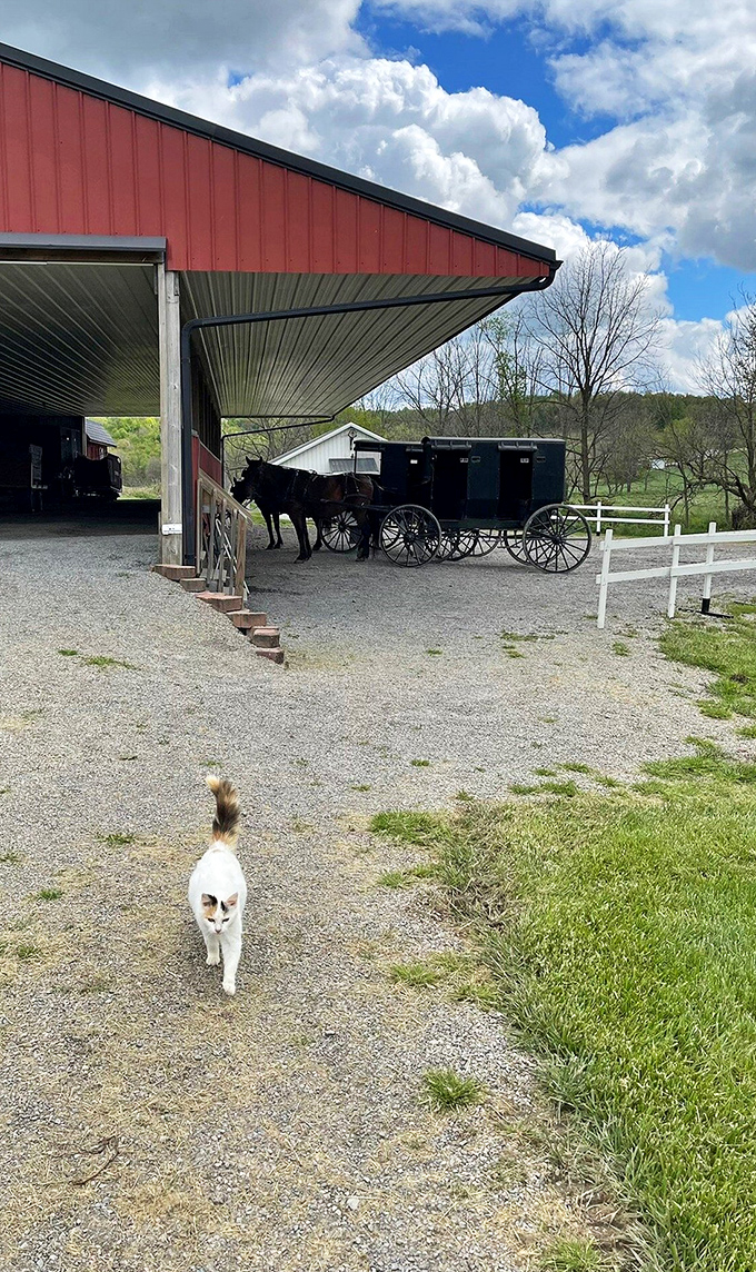 Where horsepower is still measured in actual horses! This carriage shelter represents transportation engineering at its most elegant and sustainable.
