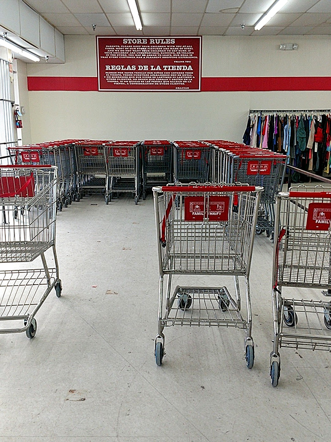 Shopping carts stand at attention like eager steeds, ready to be filled with the day's discoveries and unexpected finds that you absolutely "need."
