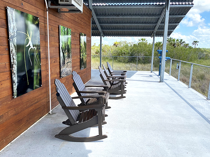 Shaded seating with panoramic swamp views provides the perfect spot to rest and contemplate the wonders you've just witnessed.