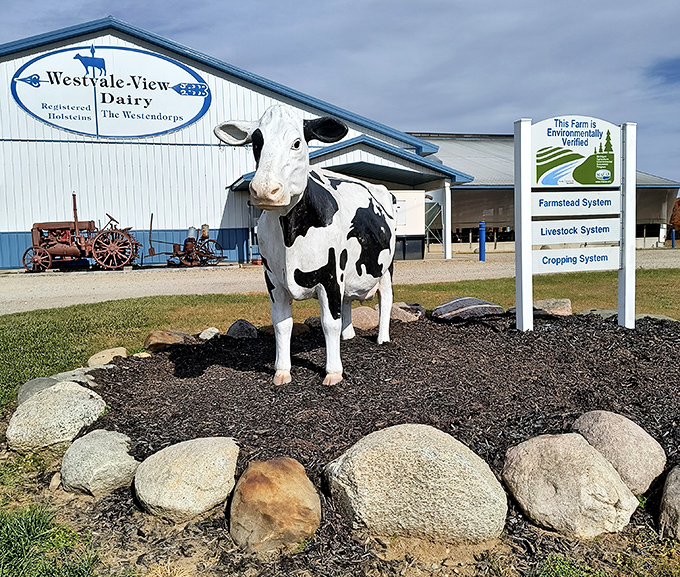 Not just any cow statue &ndash; this is the guardian of dairy delights, standing watch over the farm with a "you're welcome for the ice cream" expression.