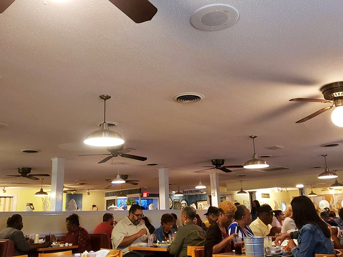 A packed dining room speaks volumes without saying a word. When locals fill a restaurant this consistently, they're telling you everything you need to know.