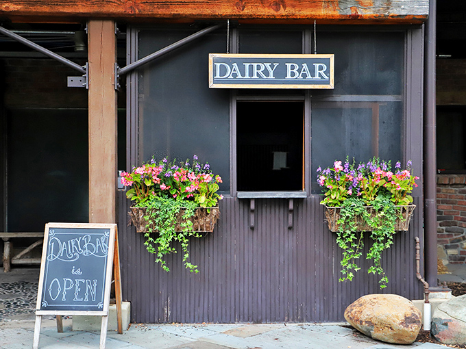 The Dairy Bar, where flower boxes and fresh milk create the kind of curb appeal that makes diet plans crumble at first glance.