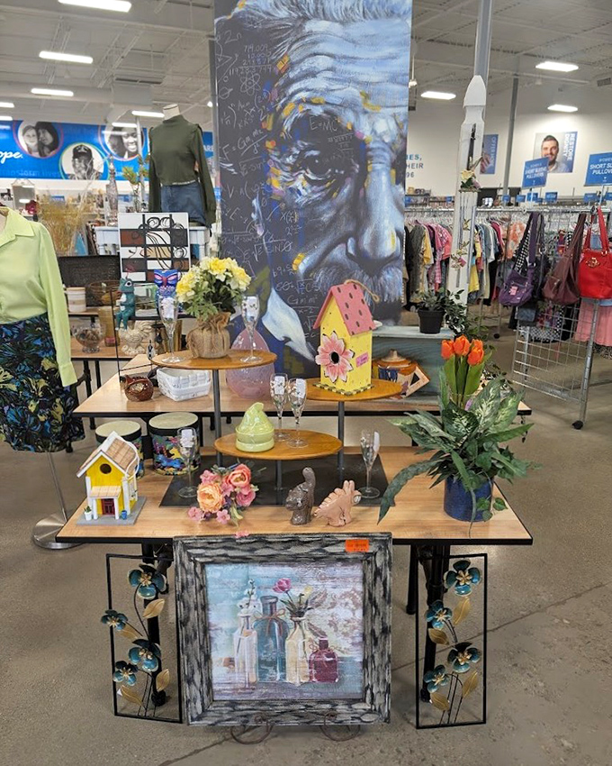 Whimsical home decor displays showcase everything from birdhouses to Einstein artwork. One person's quirky is another's perfect accent piece.